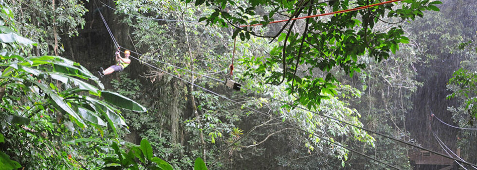 Top Zip Line Tours in Puerto Rico: Jungle Adventure Package - Adventure ...