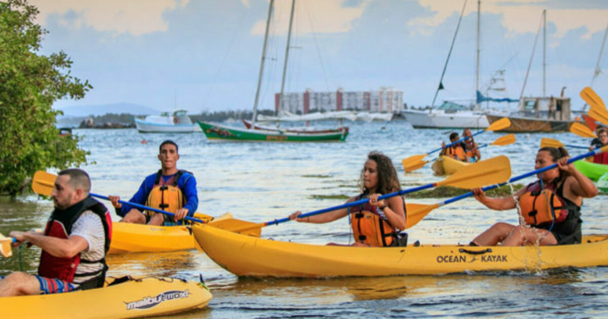 Night Kayaking in Bioluminescent Bay - Adventure Tours