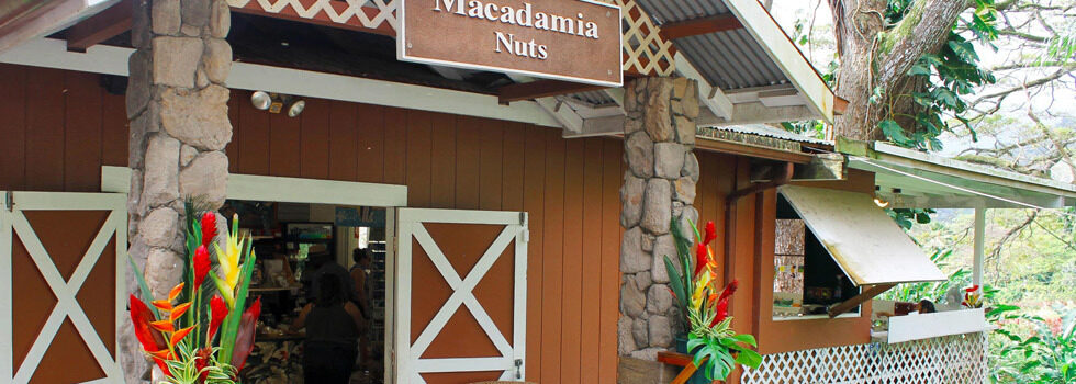 Oahu Sightseeing and Food Tour - Adventure Tours Hawaii