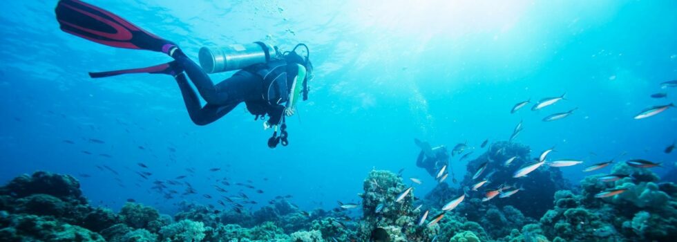 Two Tank Kona Scuba Dive - Adventure Tours Hawaii