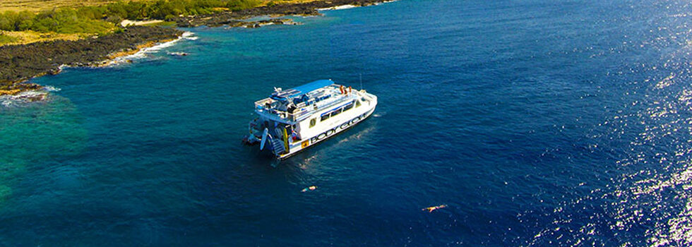 Kona Snorkel & Dolphin Catamaran - Adventure Tours Hawaii