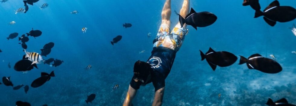 Kayak Rentals at Captain Cook Monument - Adventure Tours Hawaii