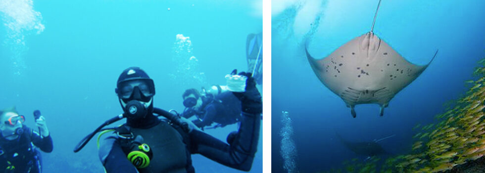 Hilo Beach Scuba Dive Tour - Adventure Tours Hawaii