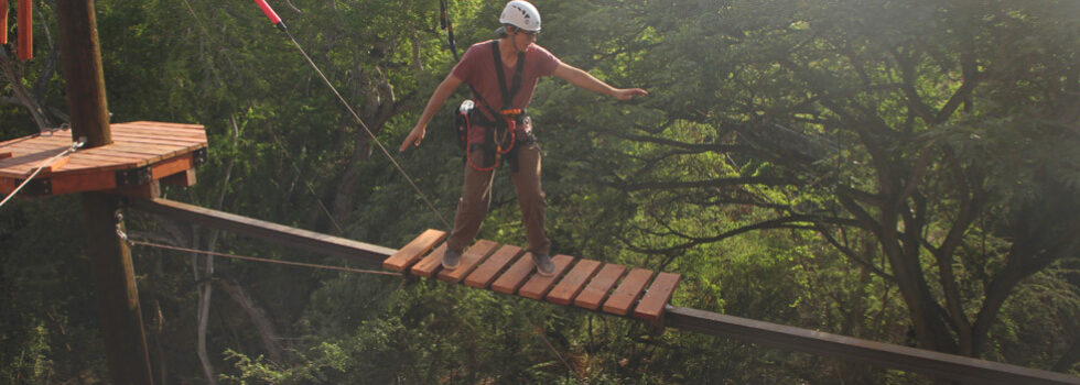 Zipline and Aerial Obstacle Course near Disney Hawaii - Adventure Tours ...