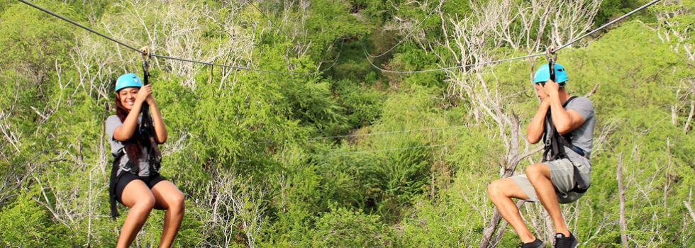 Zipline and Aerial Obstacle Course near Disney Hawaii - Adventure Tours ...