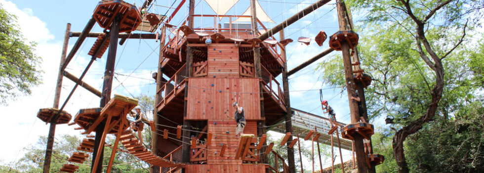 Zipline and Aerial Obstacle Course near Disney Hawaii - Adventure Tours ...