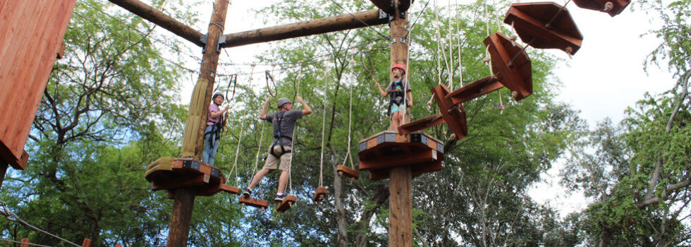 Zipline and Aerial Obstacle Course near Disney Hawaii - Adventure Tours ...