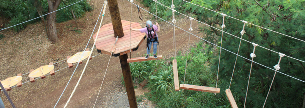 Zipline and Aerial Obstacle Course near Disney Hawaii - Adventure Tours ...