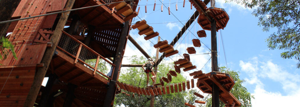 Zipline and Aerial Obstacle Course near Disney Hawaii - Adventure Tours ...