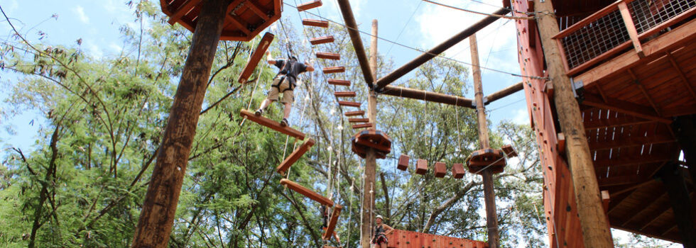 Zipline and Aerial Obstacle Course near Disney Hawaii - Adventure Tours ...
