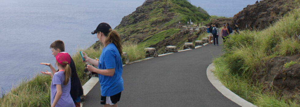 Shuttle to Makapu'u Lighthouse Trail - Adventure Tours Hawaii