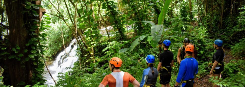 Waterfall Rappelling in the Jungle - Adventure Tours Hawaii