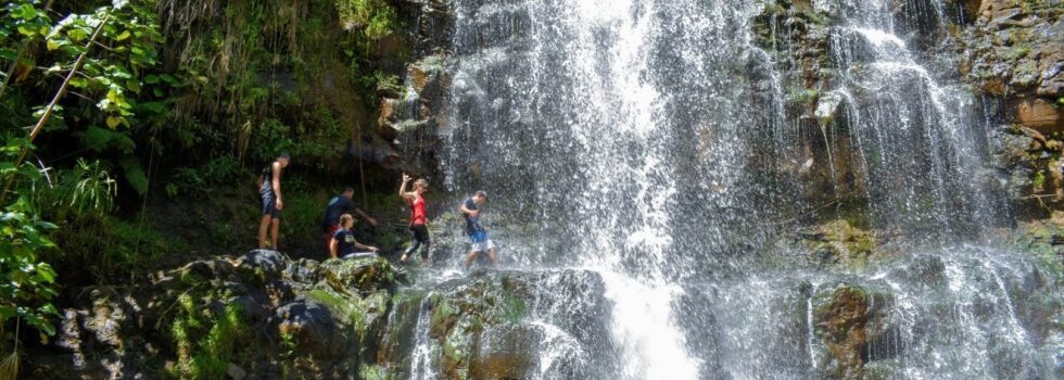 Waterfall Rappelling in the Jungle - Adventure Tours Hawaii