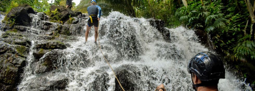 Waterfall Rappelling in the Jungle - Adventure Tours Hawaii