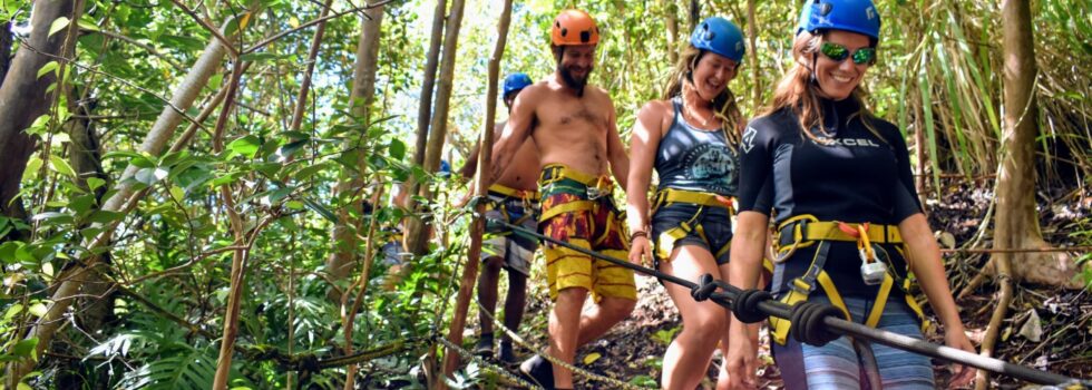 Waterfall Rappelling in the Jungle - Adventure Tours Hawaii