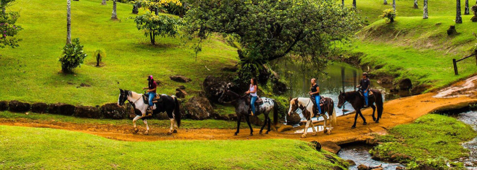 Silver Falls Ranch - Adventure Tours Hawaii