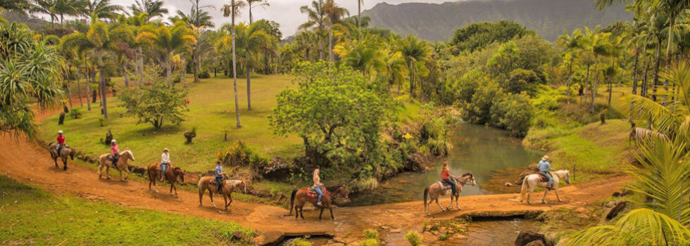Silver Falls Ranch - Adventure Tours Hawaii