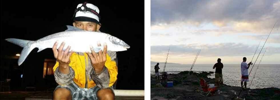 Beach Fishing Guide on Maui - Adventure Tours Hawaii