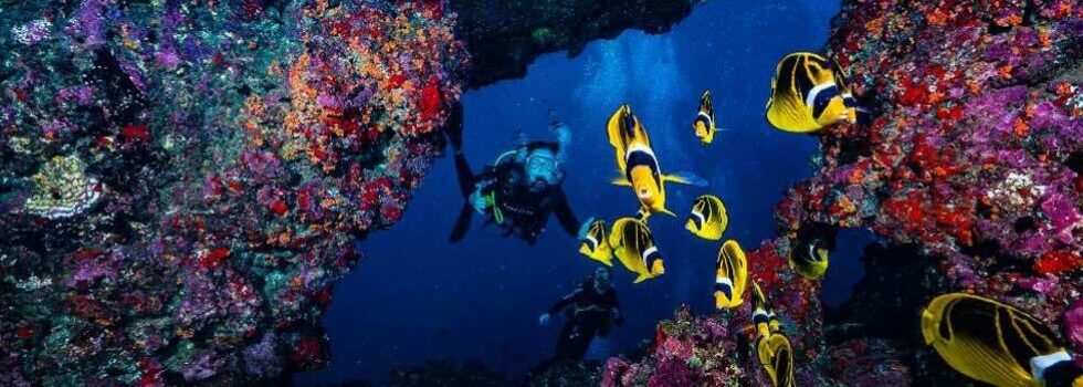 Lanai Cathedral Cave Scuba Dive - Adventure Tours Hawaii