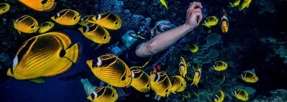 Lanai Cathedral Cave Scuba Dive - Adventure Tours Hawaii
