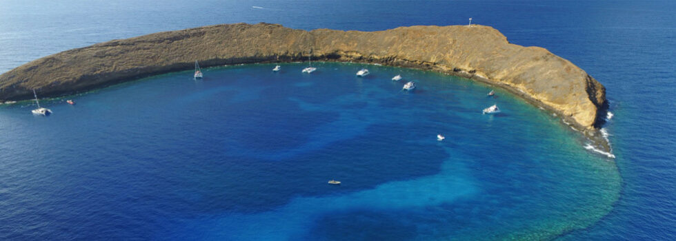 Molokini Crater Speedboat Snorkeling Tour - Adventure Tours Hawaii