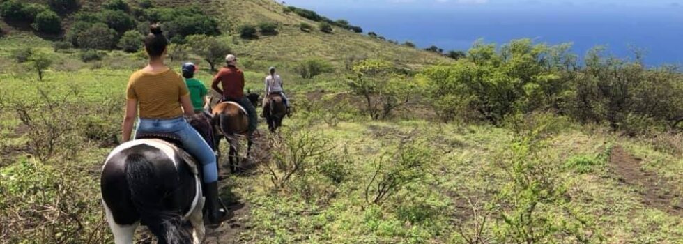 Private Upcountry Horseback Ride - Adventure Tours Hawaii