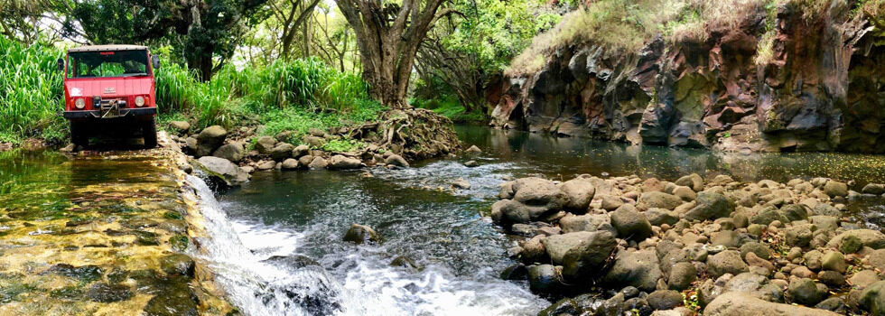 The 4x4 Off-Road Hawaiian Jungle Adventure - Adventure Tours Hawaii