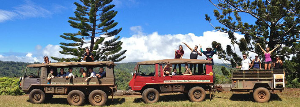 The 4x4 Off-Road Hawaiian Jungle Adventure - Adventure Tours Hawaii