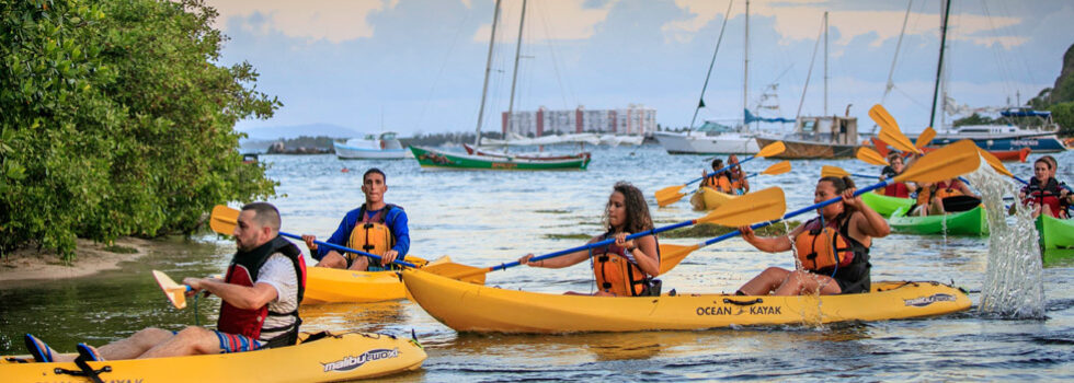 Night Kayaking in Bioluminescent Bay - Adventure Tours