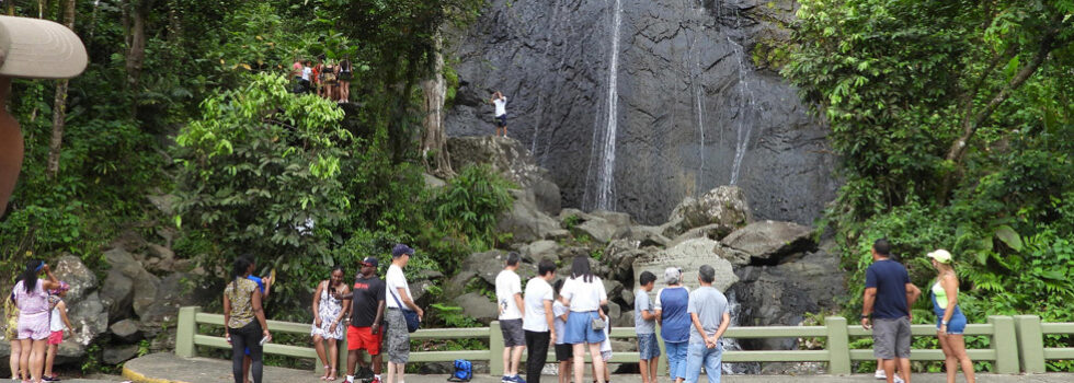 Guided Tour of the Rainforest in Puerto Rico - Adventure Tours