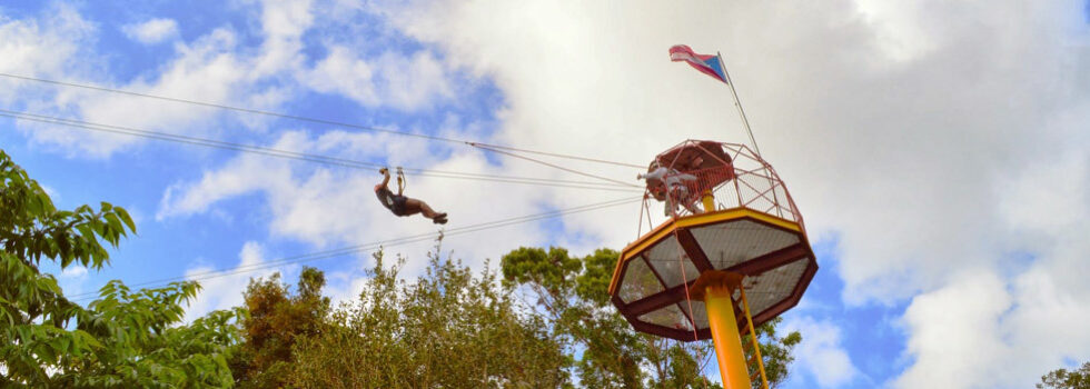 Rainforest Zipline Adventure Park - Adventure Tours